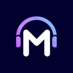 20 Best Offline Music Apps for Android/iOS (No Data, No Problem)