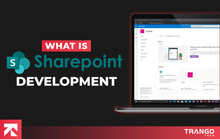 How Much Does SharePoint Development Cost in 2025?